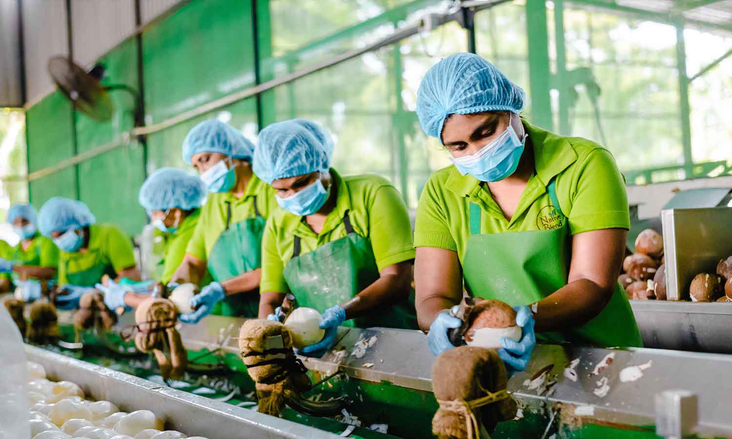 Behind the scenes: A day in the life of a coconut milk and cream ...